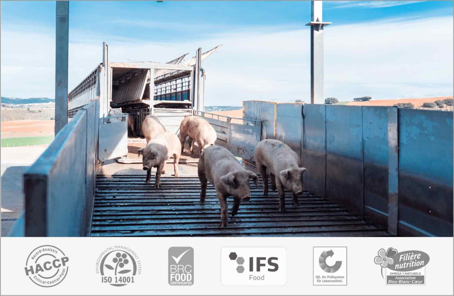 Home » ALIMENTOS GROLE S.A. DE C.V.